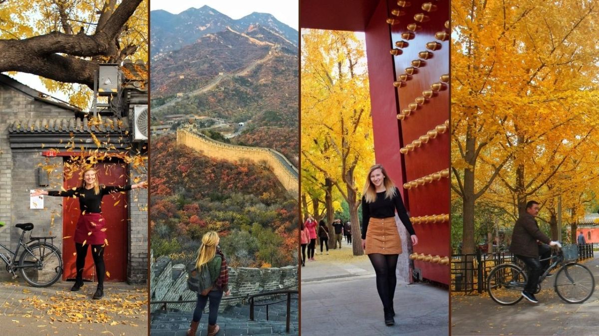 5 Beautiful Places To See Autumn Leaves in Beijing – Rachel Meets China